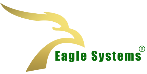 “Eagle Systems General Settings – Customize User Preferences”